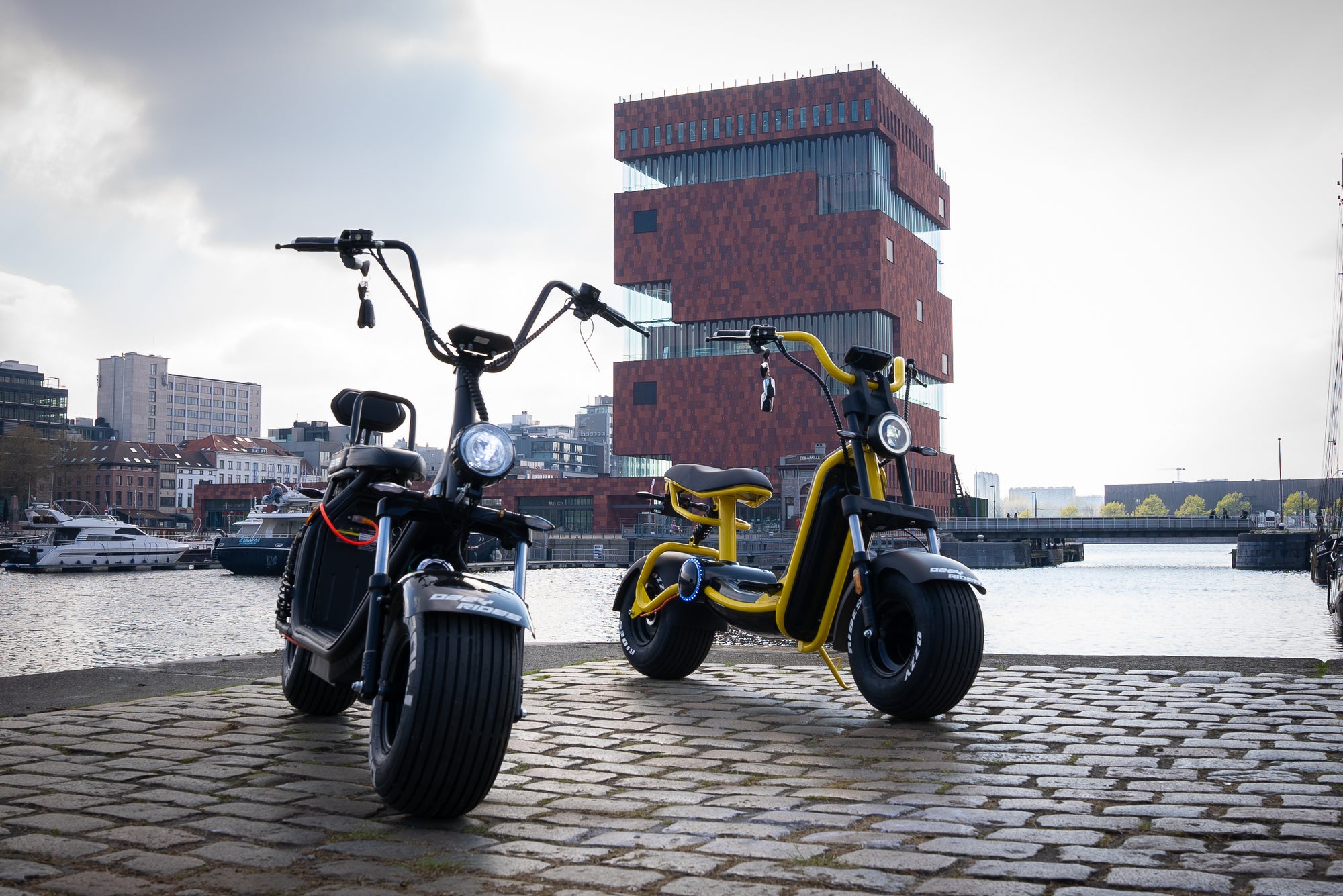 Buy Electric Scooter Antwerp | E-Chopper Citycoco | Ozzy Rides – ozzy rides