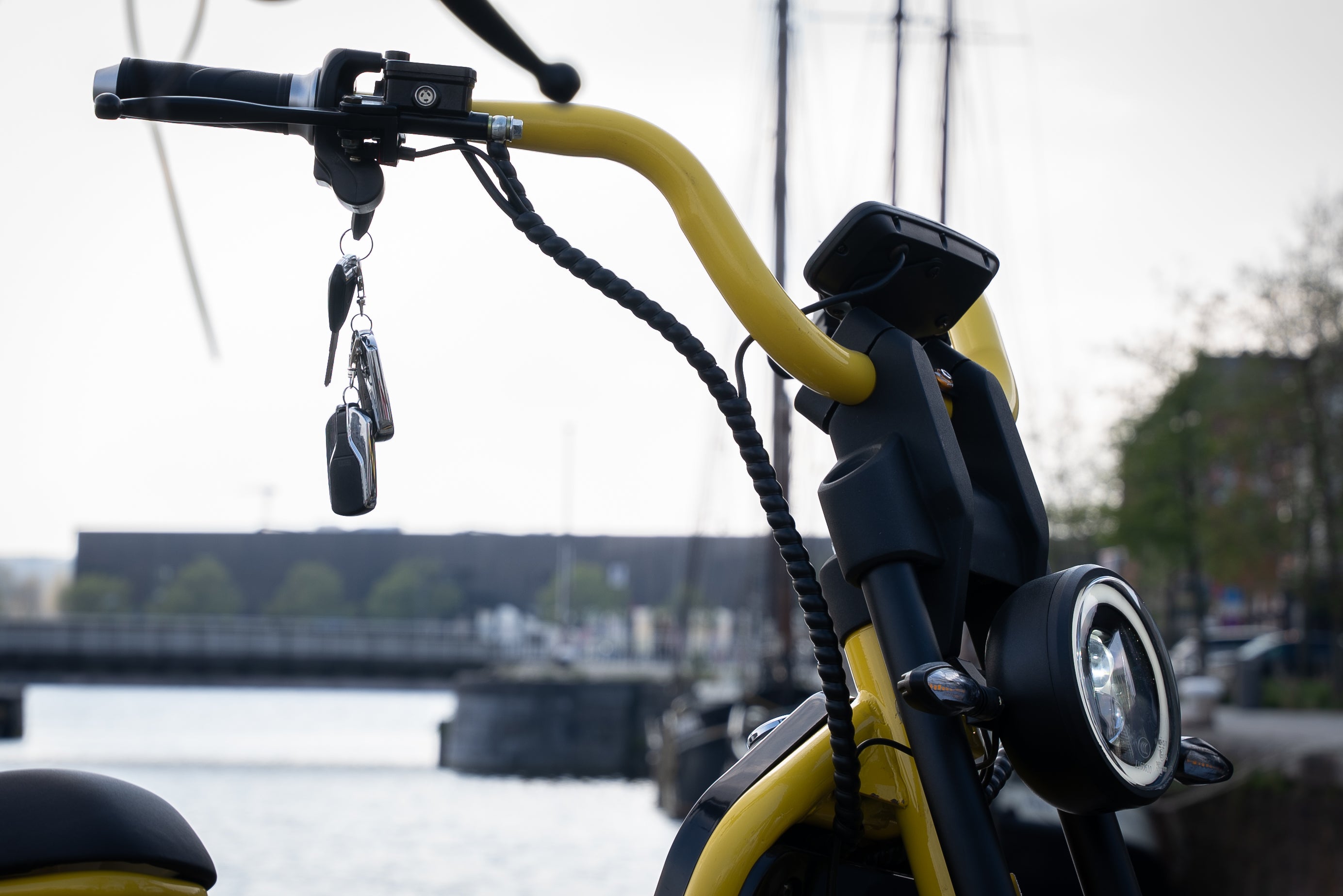 Buy Electric Scooter Antwerp | E-Chopper Citycoco | Ozzy Rides – ozzy rides